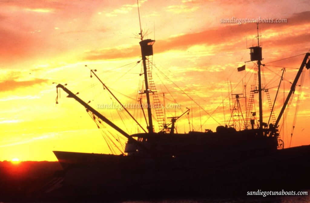 Toro Bravo Chopper.. – San Diego Tuna Boats